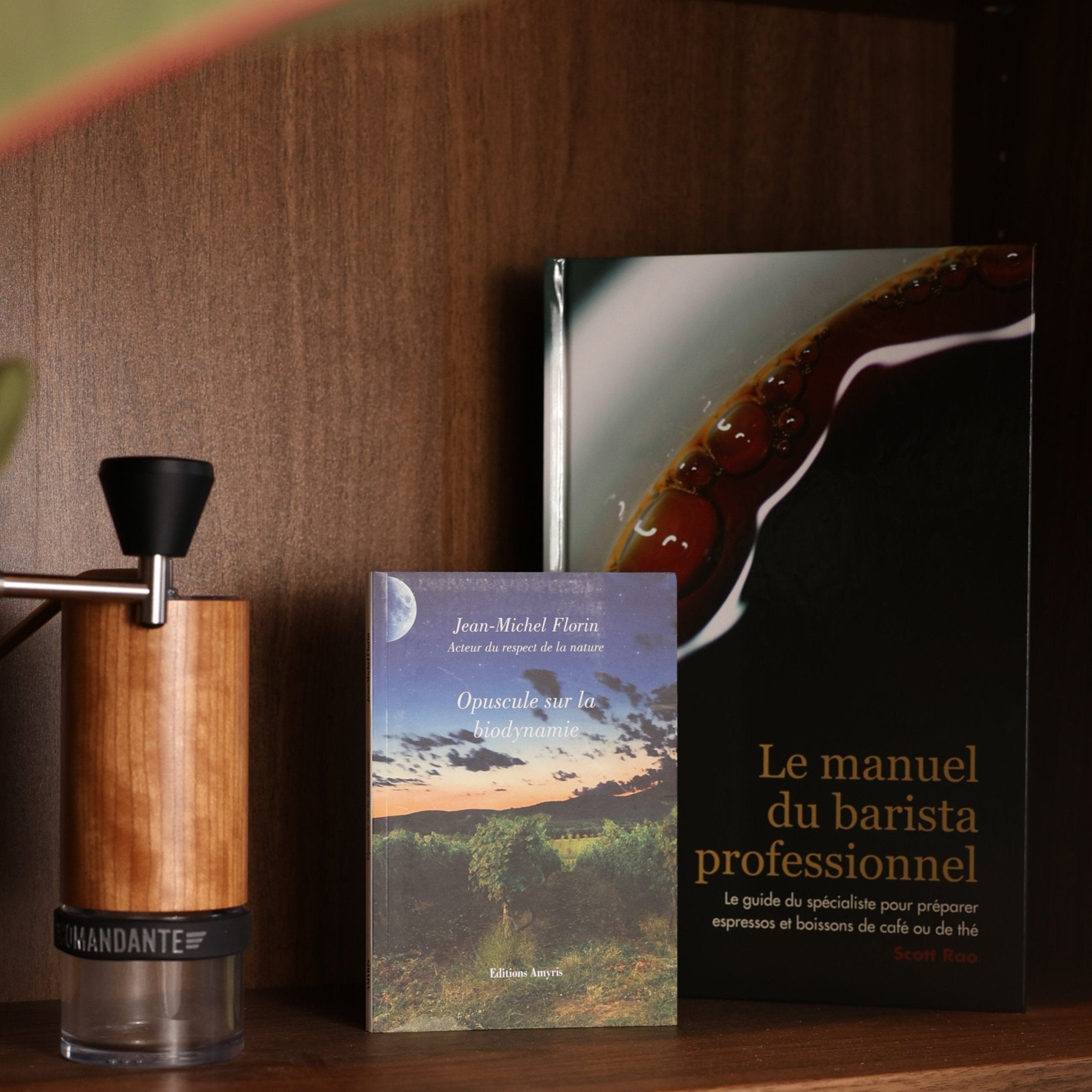 Nos boutiques - L'Arbre à Café