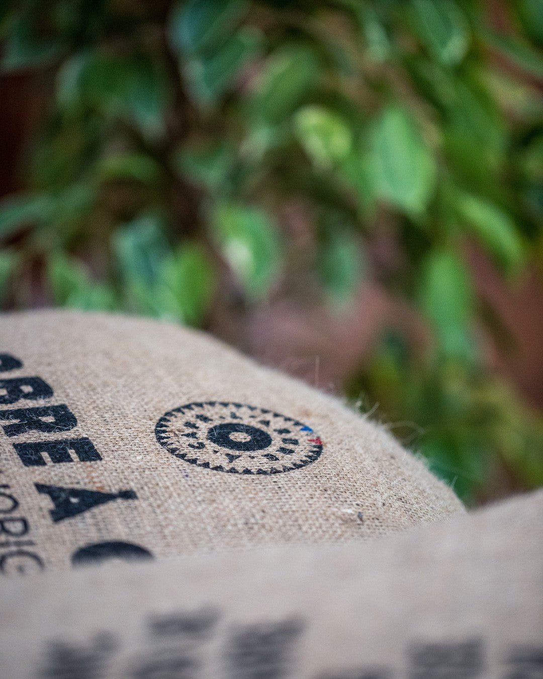 L'Arbre à Café - Cafés de tous les jours - Entre Ciel et Terre
